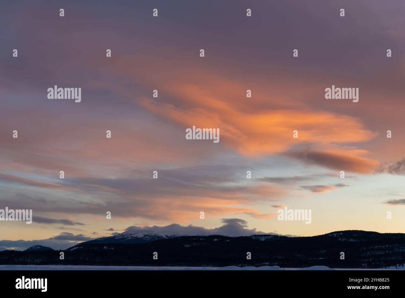 A pink winter sunrise during March with purple pastel scenes in the ...