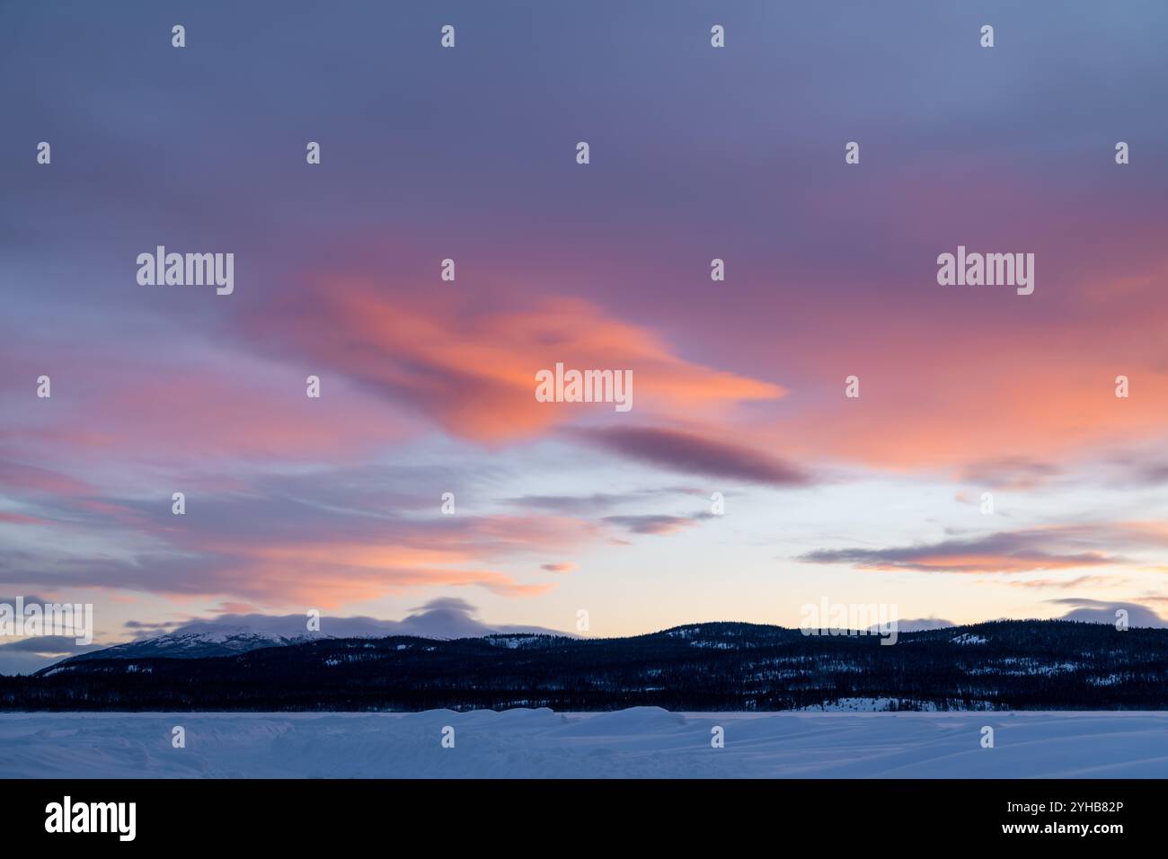 A pink winter sunrise during March with purple pastel scenes in the ...