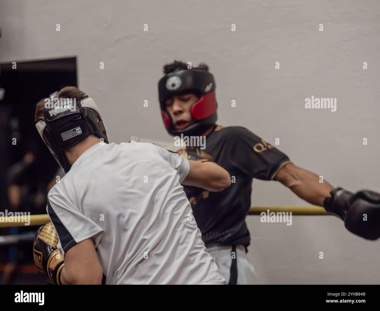Cremona, Italy - October 29th 2024 Two men are boxing in a ring. One ...