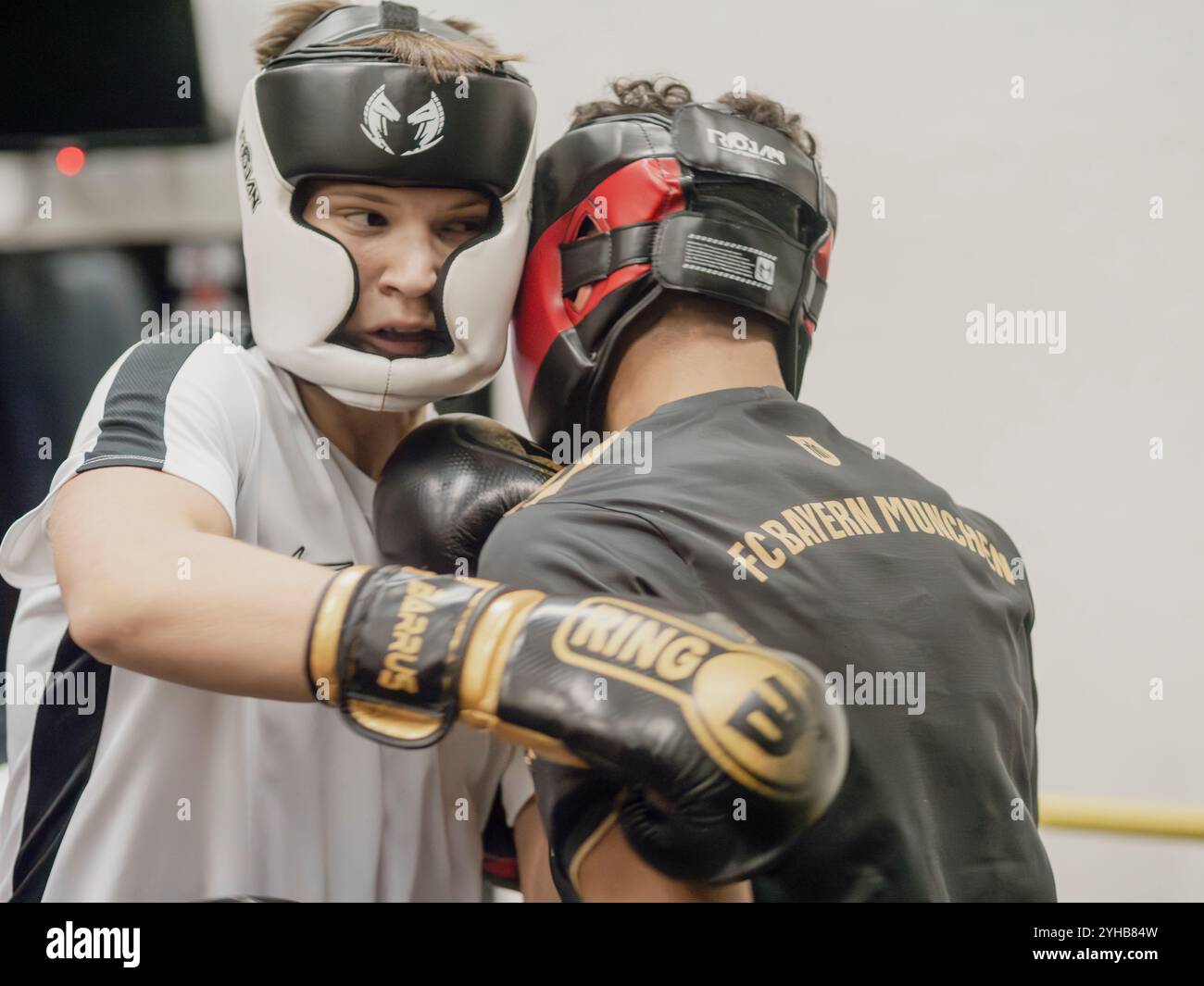 Cremona, Italy - October 29th 2024 Two boxers are in the ring, one ...