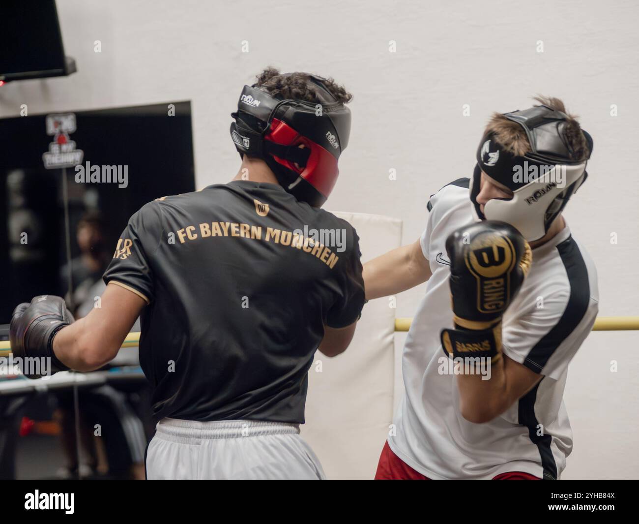 Cremona, Italy - October 29th 2024 Two men are boxing in a ring. One of ...