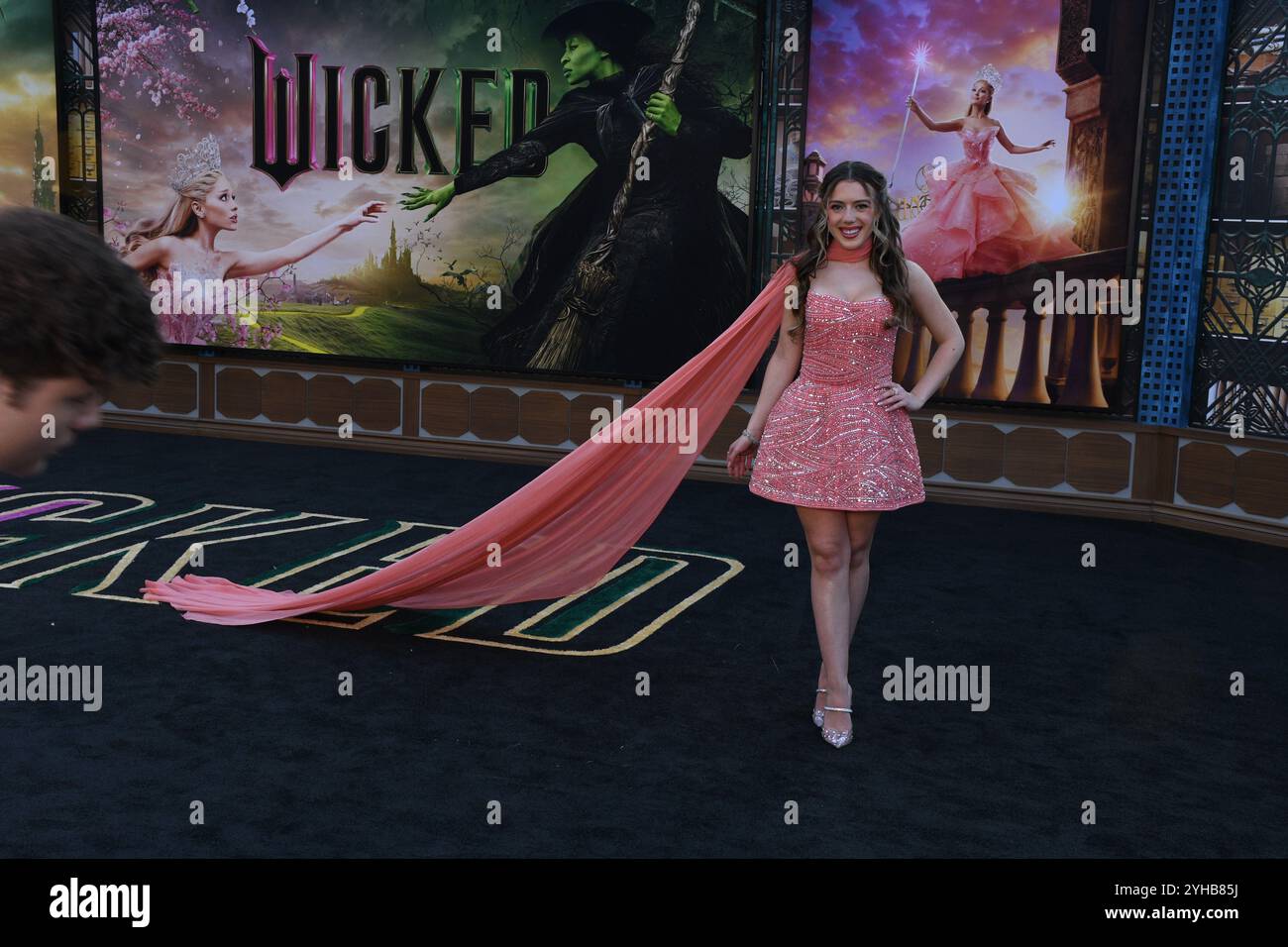 Los Angeles, California, USA 9th November 2024 Patty Eminger attends ...