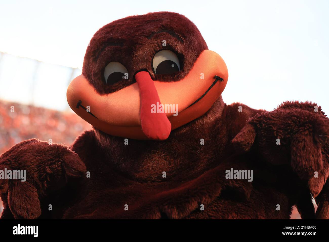 Virginia tech hokies mascot hi-res stock photography and images - Alamy