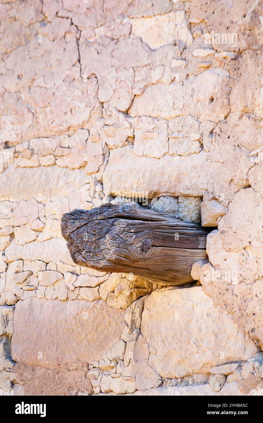 A juniper log sticks out from a wall at the Spruce Tree House Ruins in ...