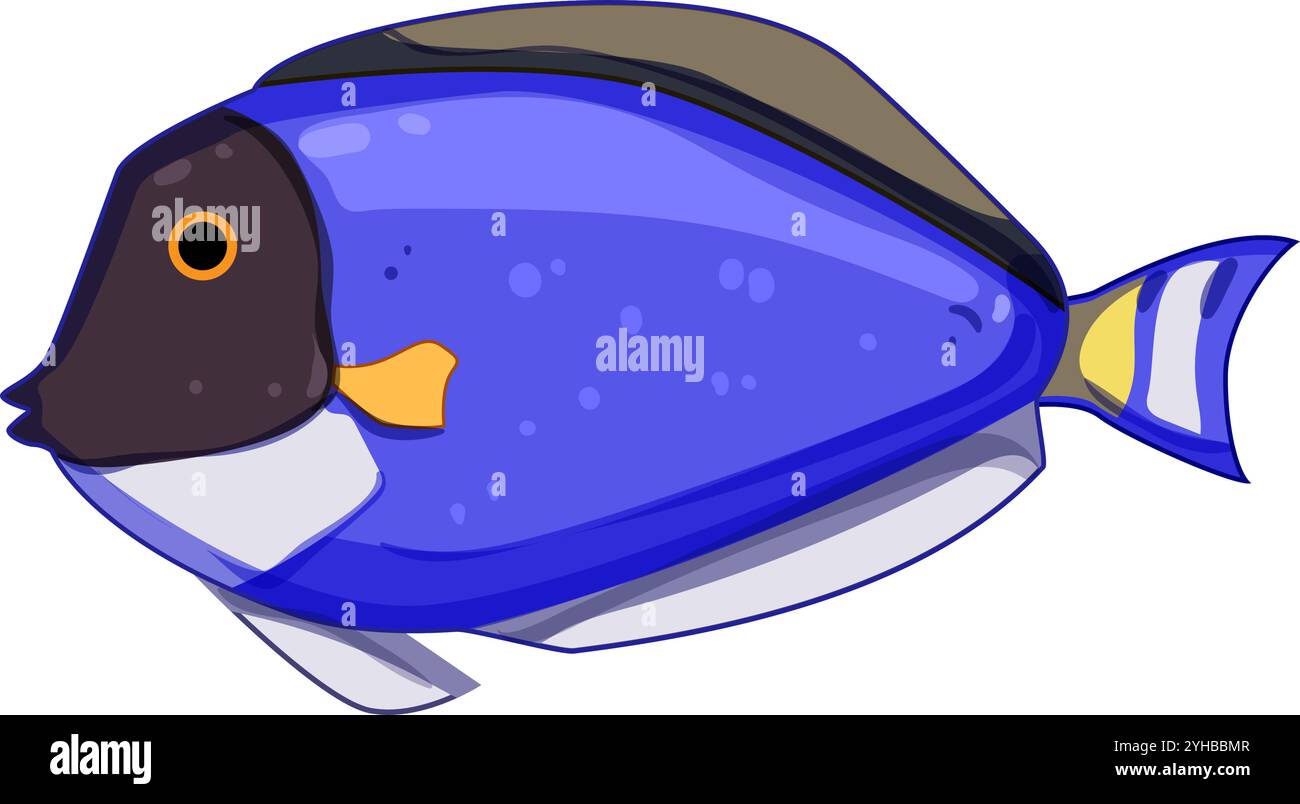 tetra exotic fish cartoon vector illustration Stock Vector Image & Art ...