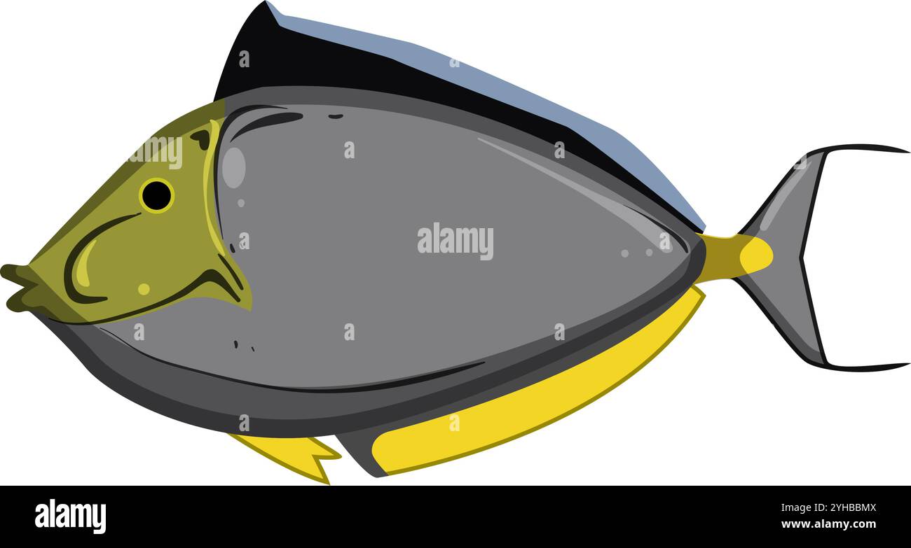 discus exotic fish cartoon vector illustration Stock Vector Image & Art ...