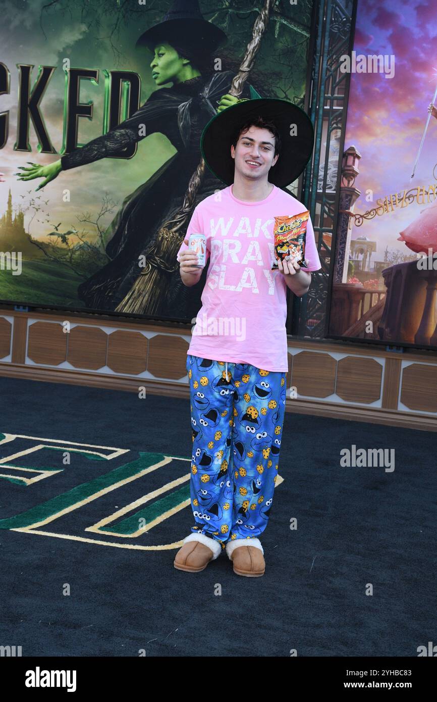 Los Angeles, California, USA 9th November 2024 Harry Daniels attends ...