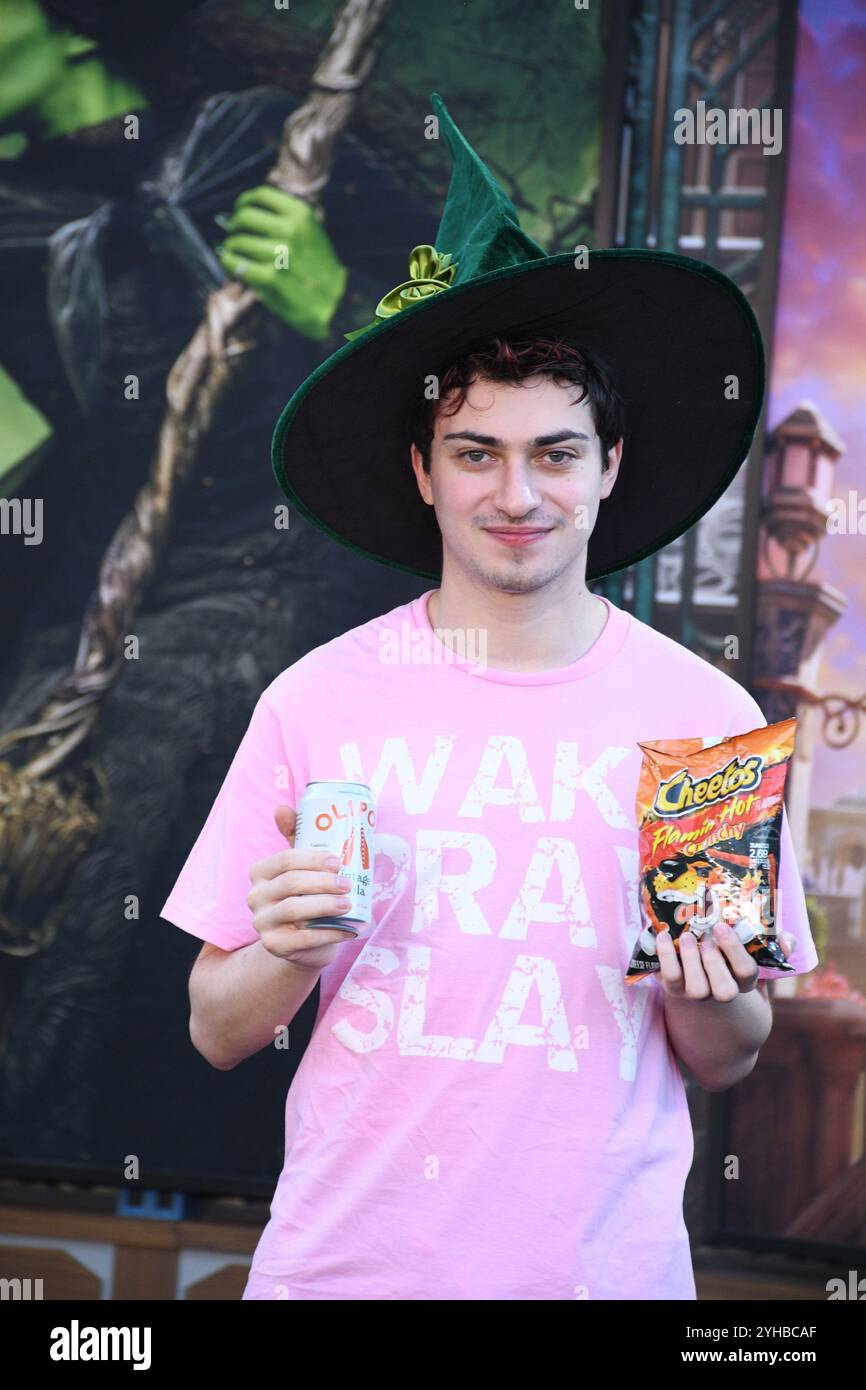 Los Angeles, California, USA 9th November 2024 Harry Daniels attends The Los Angeles Premiere of ...