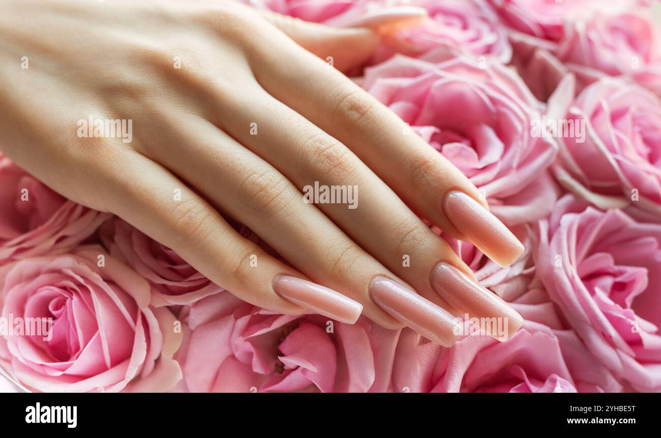 Soft pink roses surround a beautifully manicured hand with polished ...