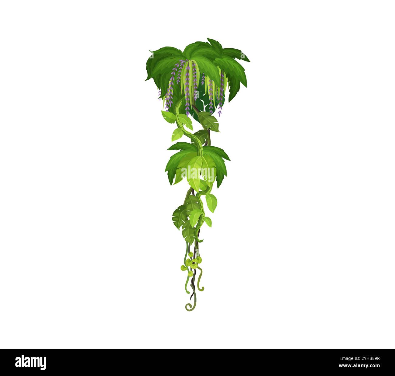 Tropical jungle forest vertical liana, vine branch. African rain forest ...