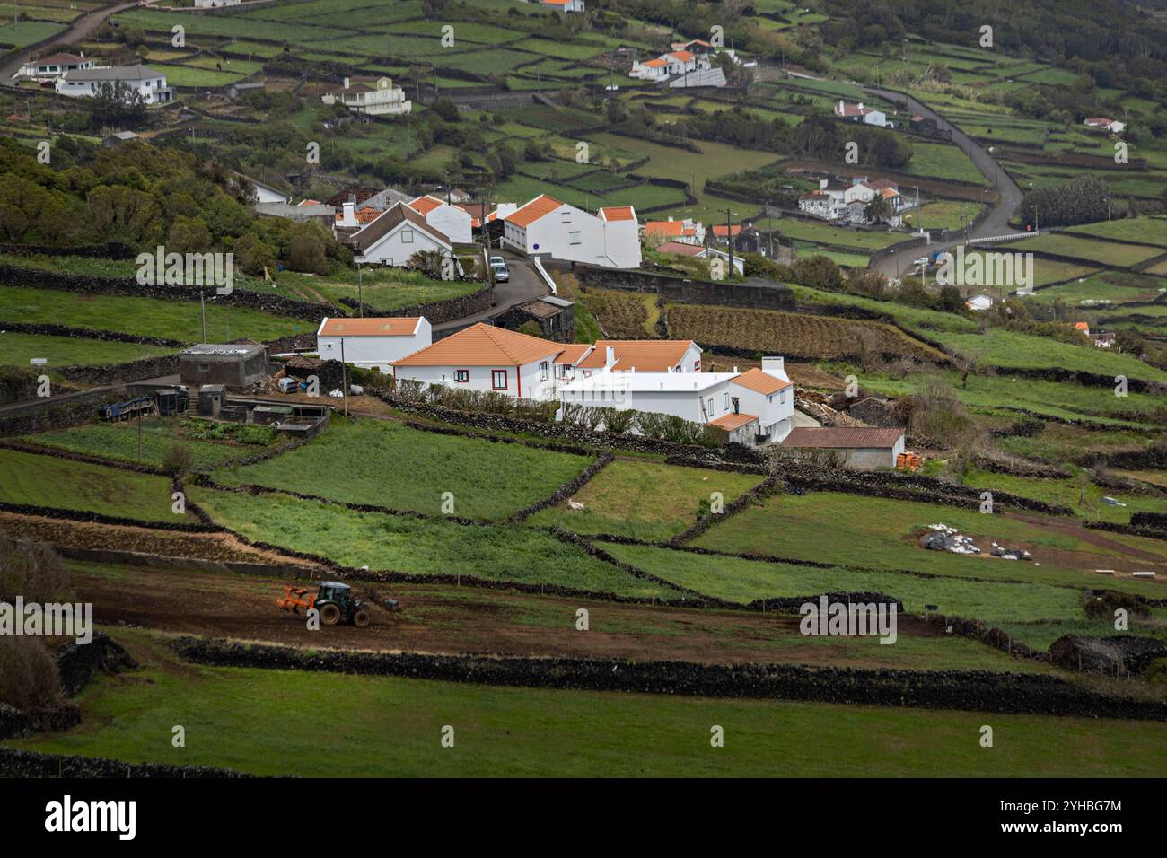 Agriculture fields at Azores islands tracror working on the field ...