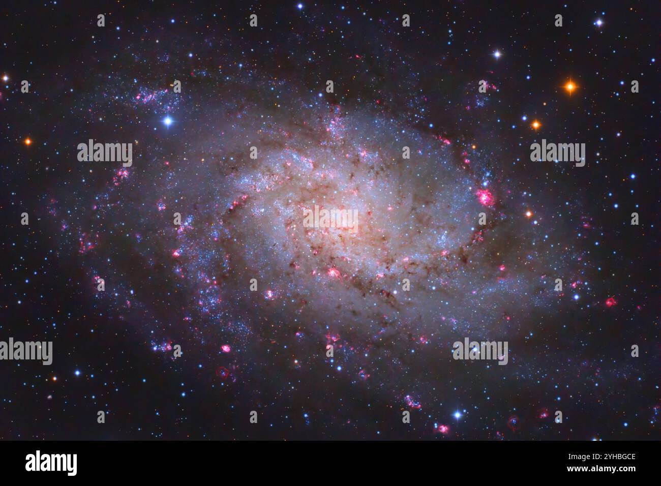 Galaxy Messier 33 in Triangulum (the Triangulum Galaxy) in Deep Space Stock Photo - Alamy