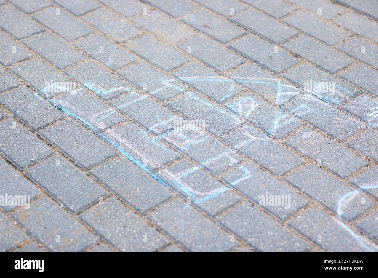 A detailed drawing of a skeleton is beautifully written in white chalk ...