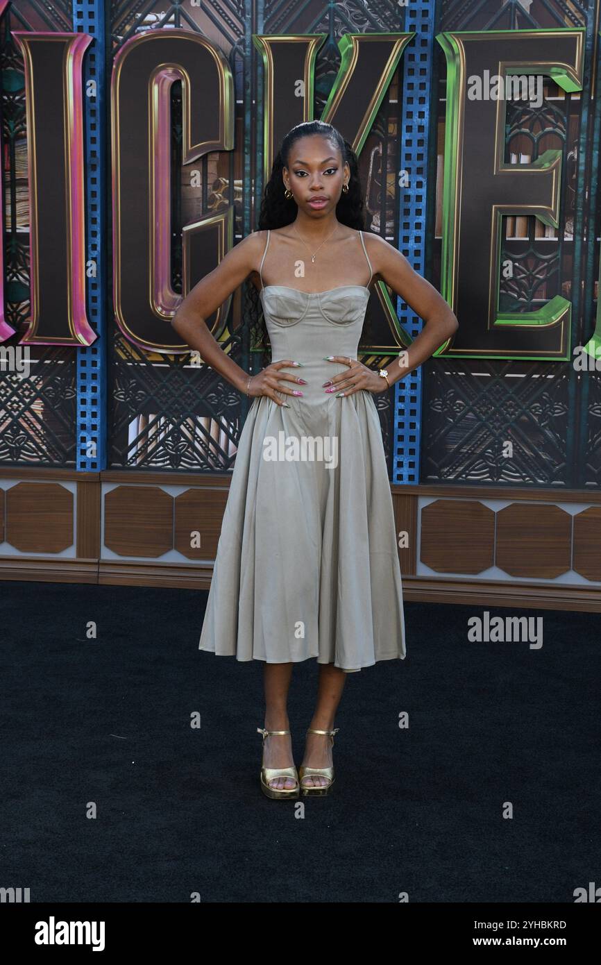 Los Angeles, California, USA 9th November 2024 Dai Time attends The Los ...