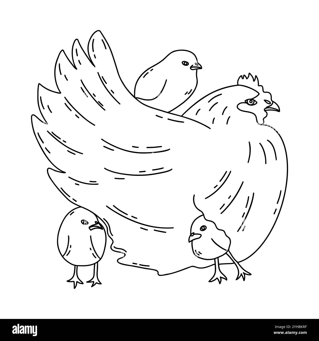 Hen with chicks. Mother chicken with small children. Agriculture ...
