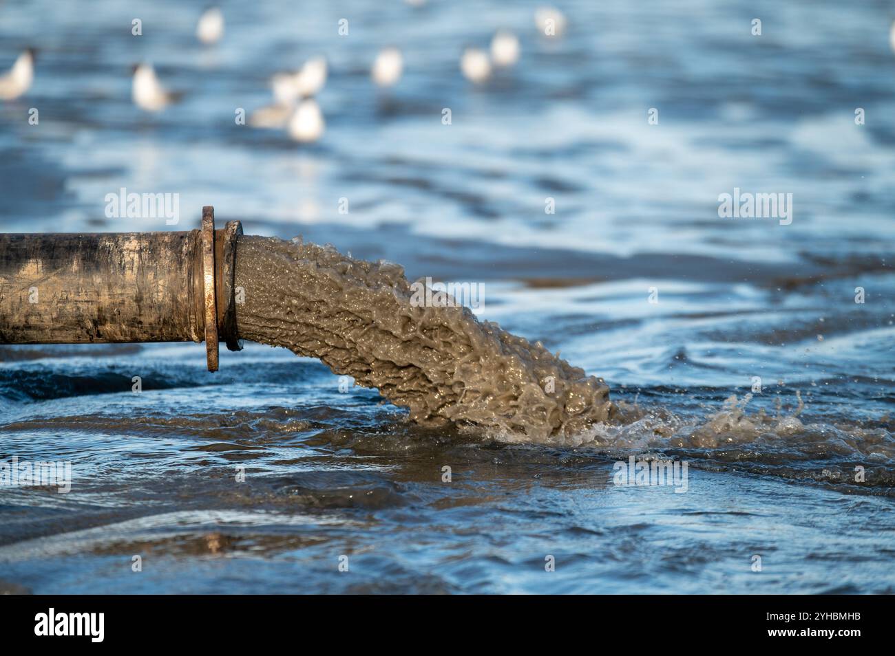 Beach restoration using a sand transfer system in Engure, Latvia Stock ...