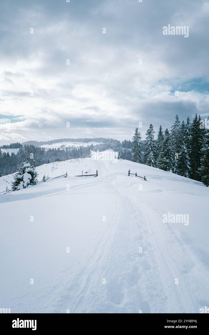 Snow-Covered Path Leading to Stock Photo - Alamy