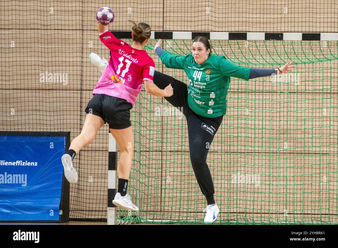 Halle, Deutschland. 10th Nov, 2024. Halle, Deutschland 10. November ...