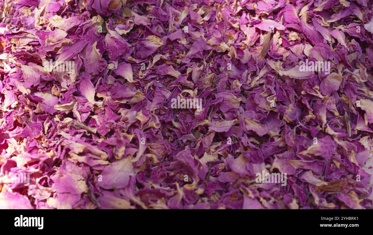 Dried rose petals. Used in the culinary area of life, and too, in the ...