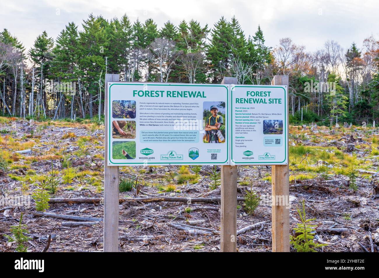 Renewal sign hi-res stock photography and images - Alamy