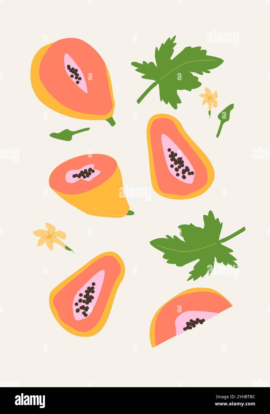 Papaya pattern vector Stock Vector Images - Alamy