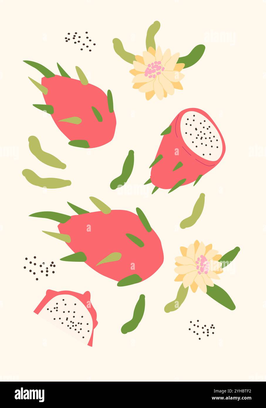 Modern vertical dragon fruit poster, vector flat illustration. Summer ...