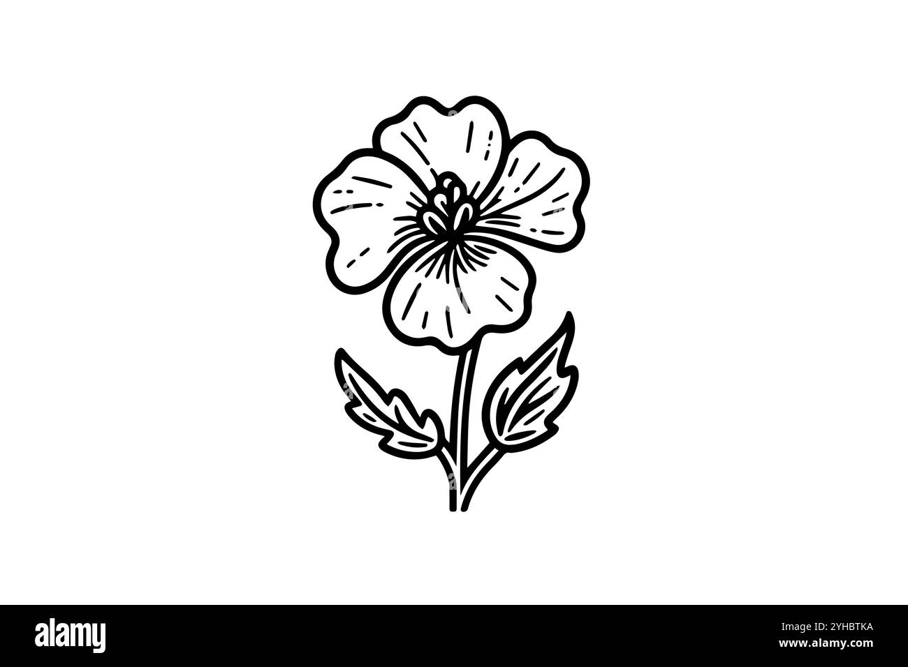 Hand drawn ink sketch of meadow wild flower. Engraved style vector ...