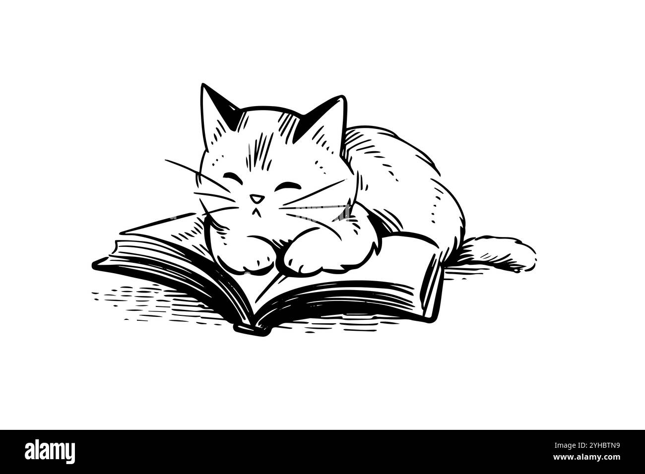 Cat read a book hand drawn ink sketch. Engraved vector illustration ...
