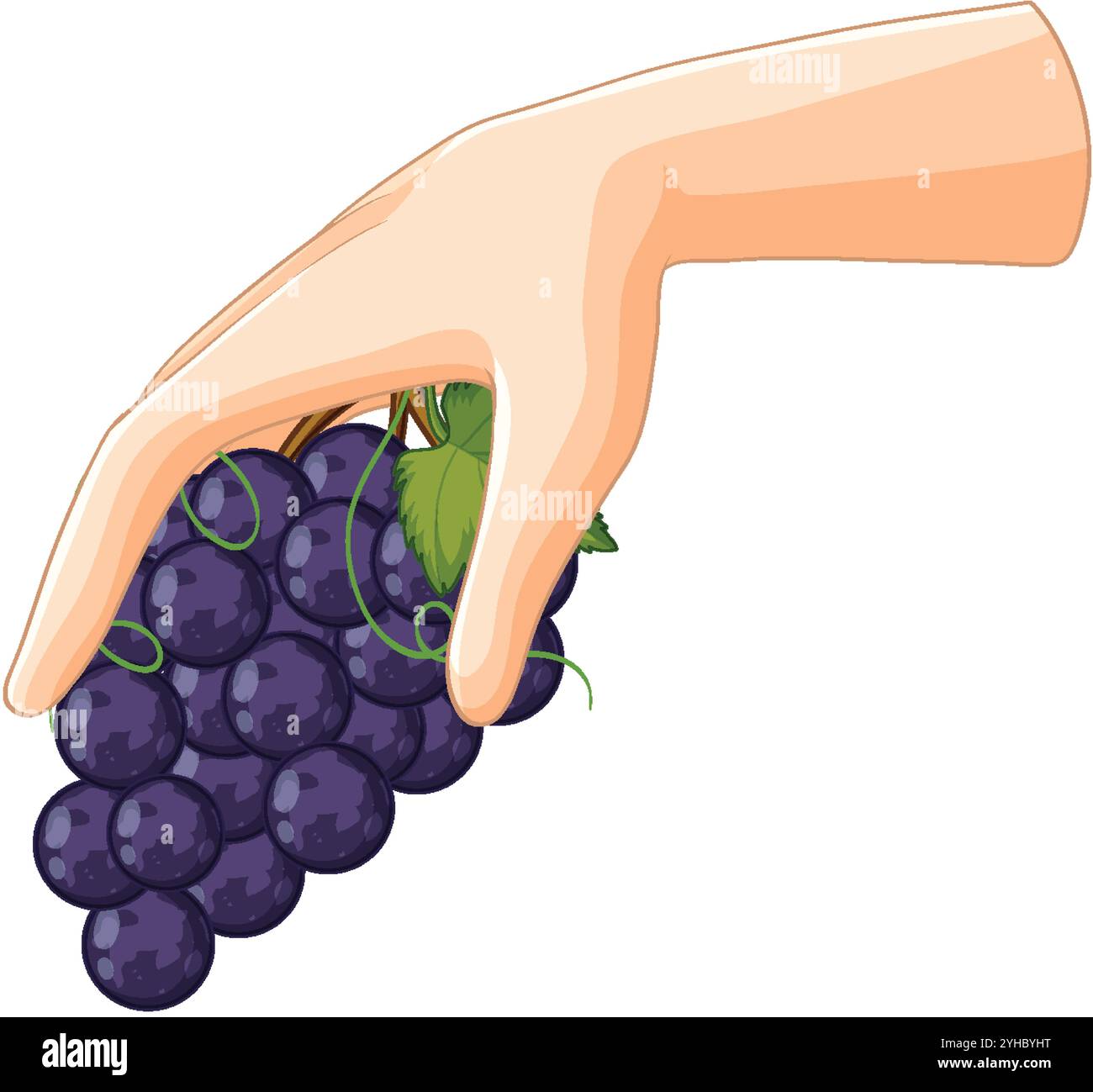 Illustration of a hand holding purple grapes Stock Vector Image & Art ...