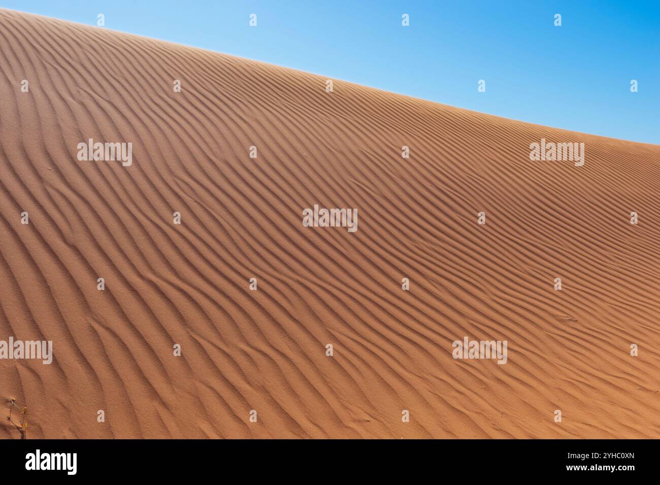 Sand patterns on top of the Big Red sand dune, Simpson Desert ...