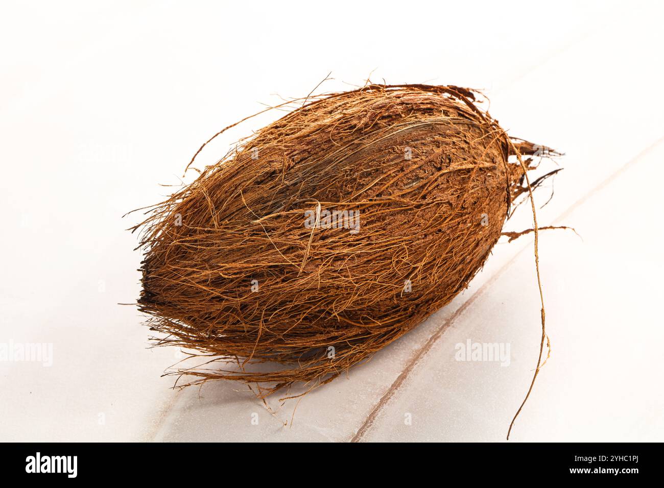 Natural exotic brown hairy coconut with shell Stock Photo - Alamy
