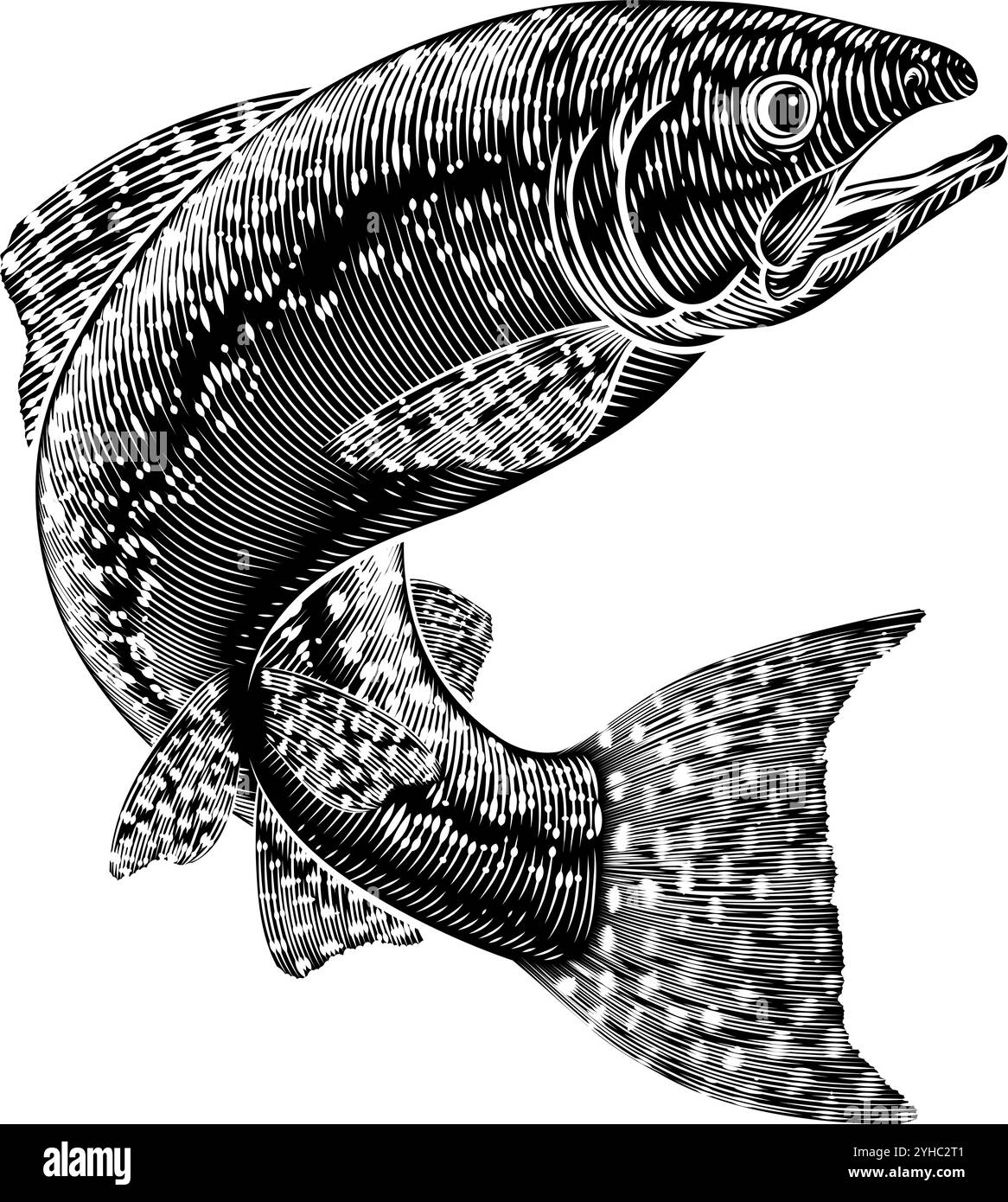 Salmon trout fish Black and White Stock Photos & Images - Alamy