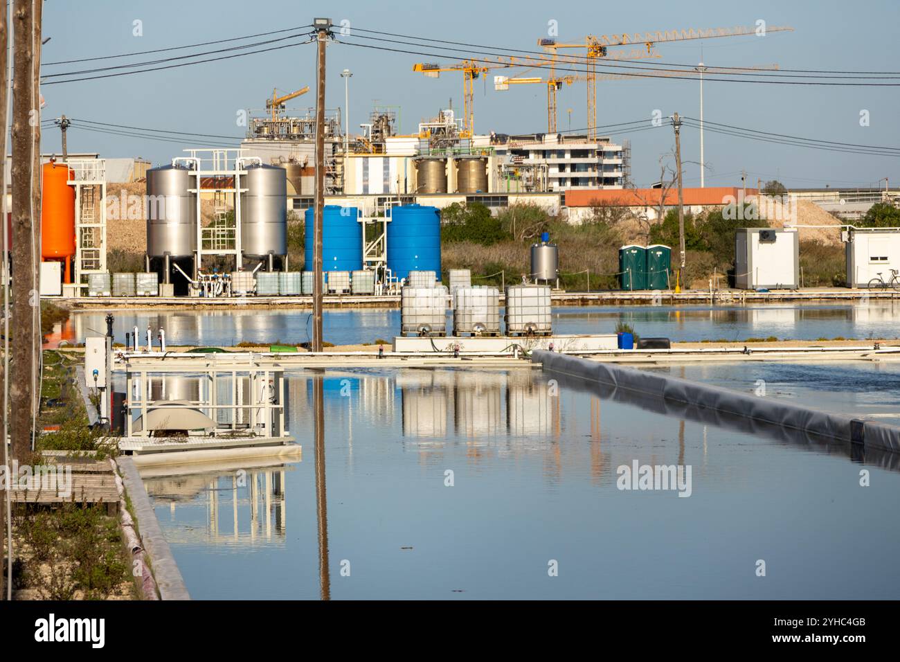 Algae bioreactor hi-res stock photography and images - Alamy