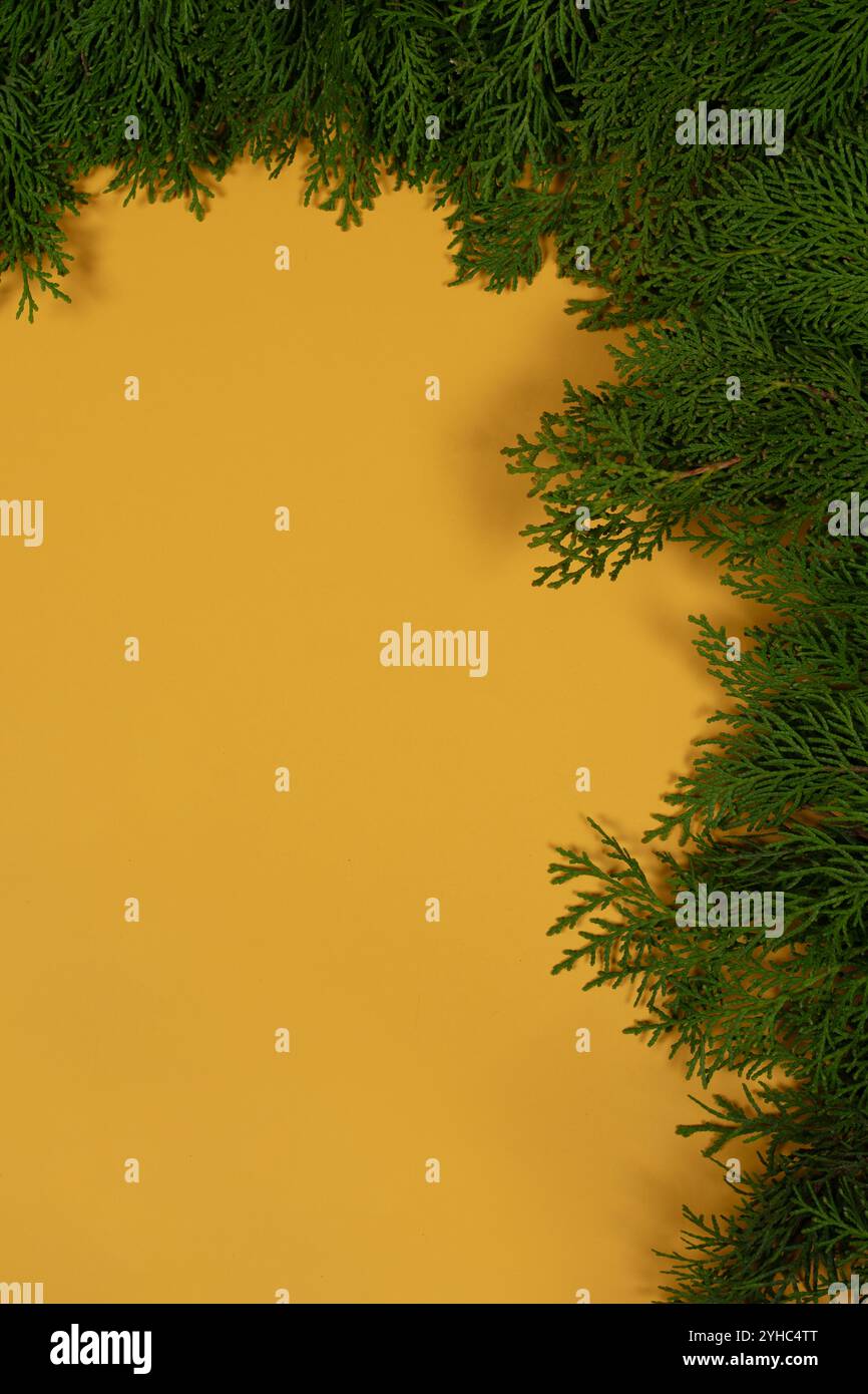 Evergreen Pine Frame - Rustic Winter Woodland Backdrop Stock Photo - Alamy