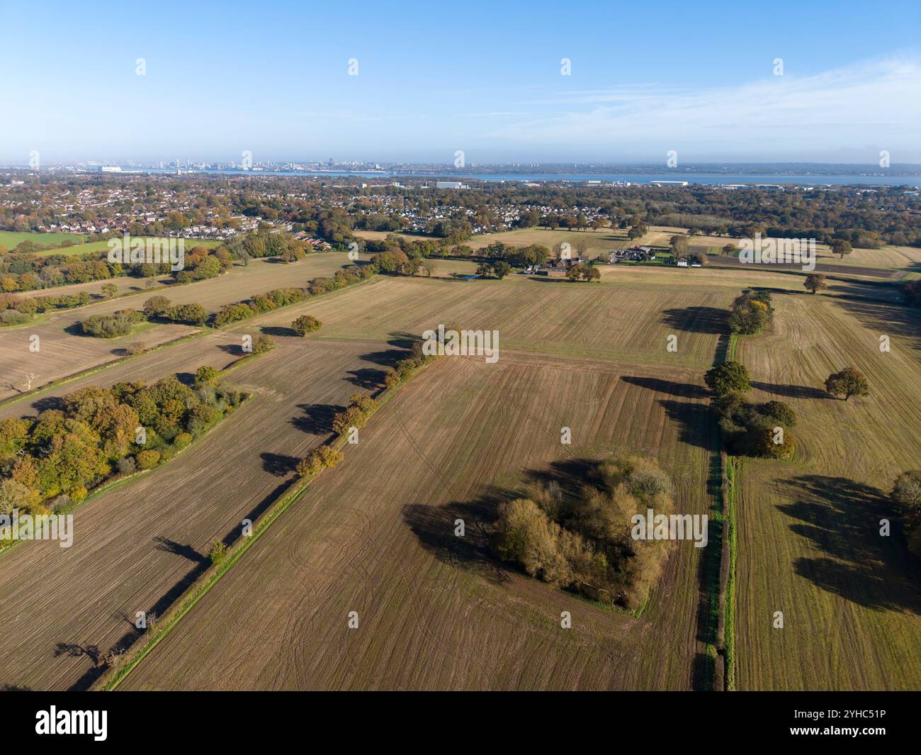 Aerial view of trees and hedgerows in a farmland field during Autumn on ...