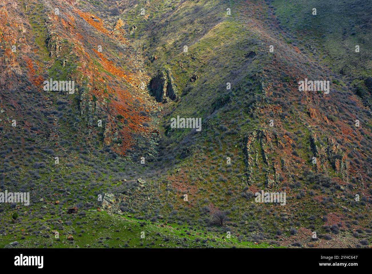 colorful mountain slope texture with green grass and orange rock spots ...