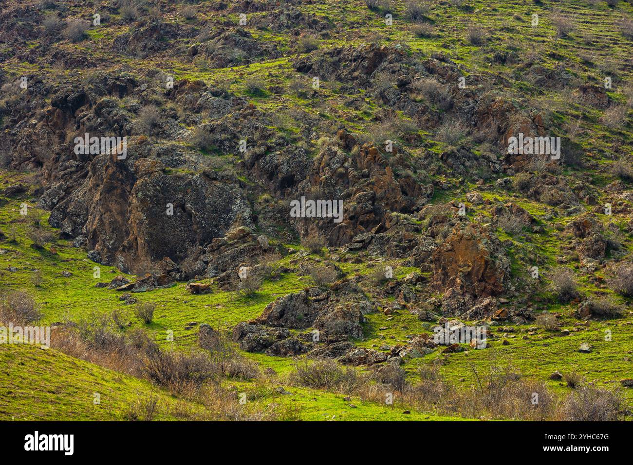 colorful mountain slope texture with green grass and brown rock spots ...