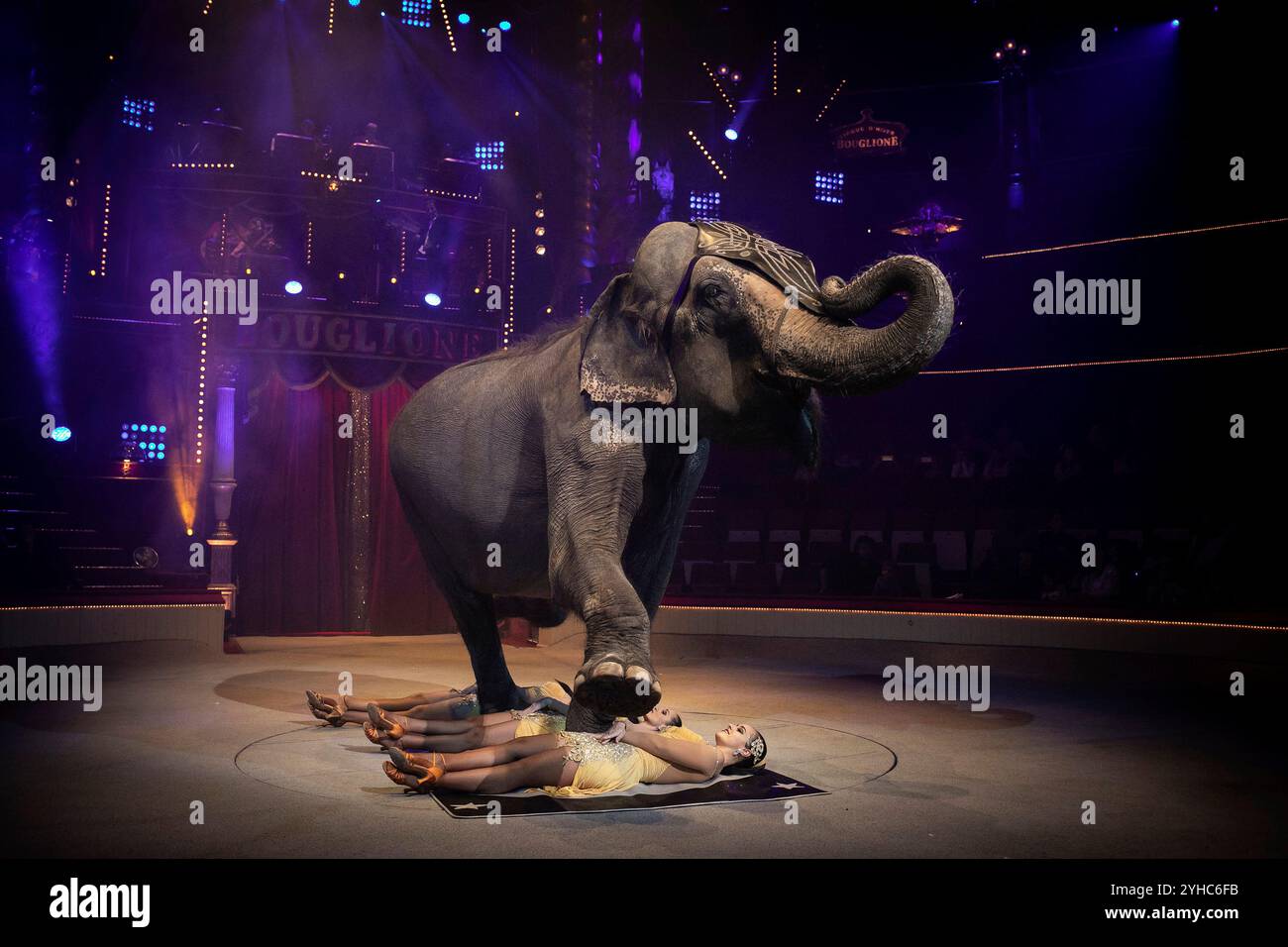 Animal circus in Paris, France Stock Photo - Alamy