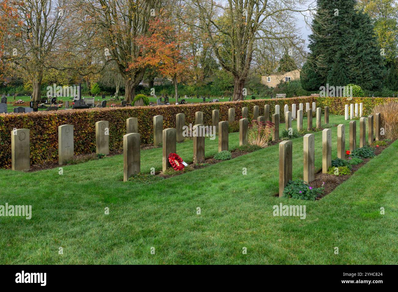 Rows of WW1 graves, with a solitary poppy wreath, Towcester Road ...