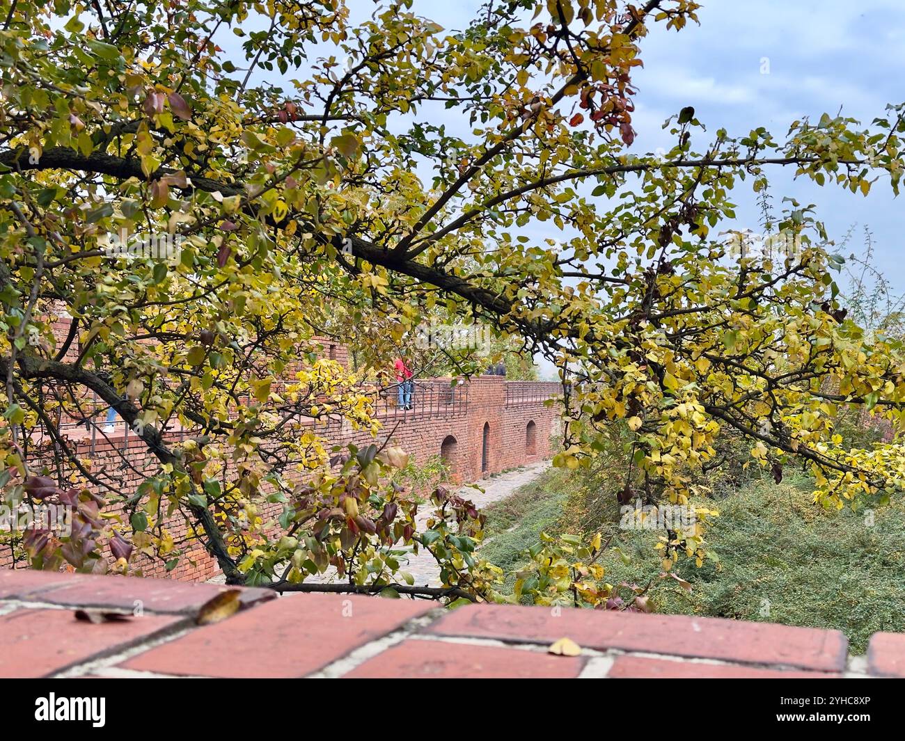 Autumn in a park, old part of town Stock Photo - Alamy
