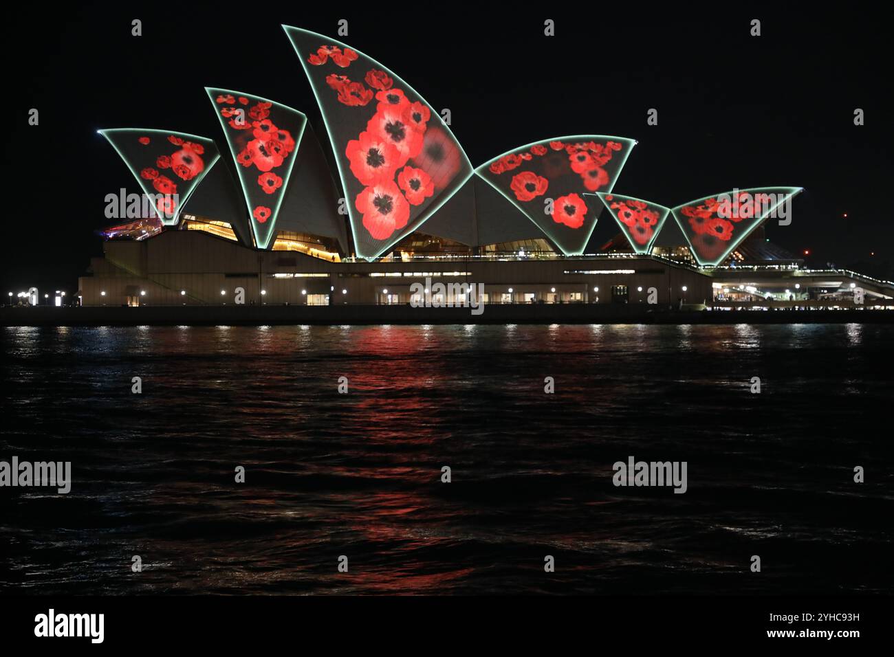 Sydney opera house poppies hi-res stock photography and images - Alamy
