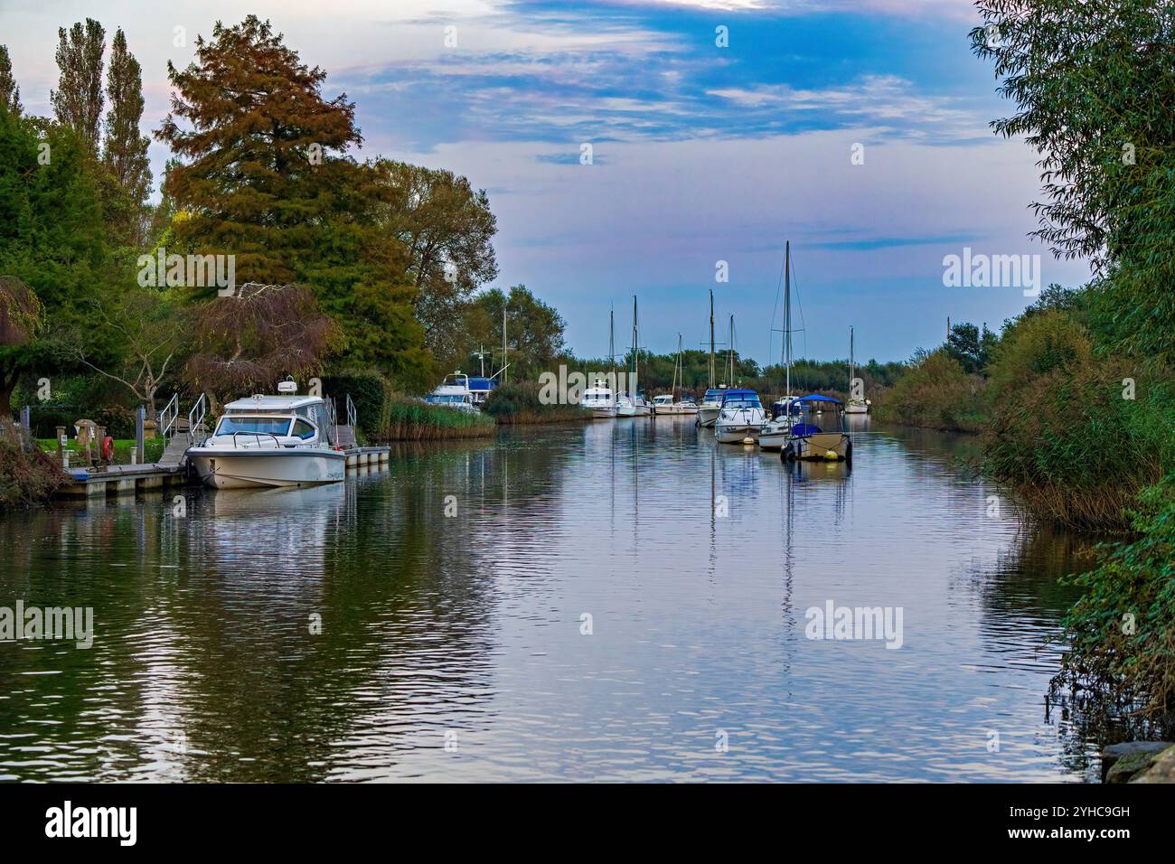 Wareham town hi-res stock photography and images - Alamy