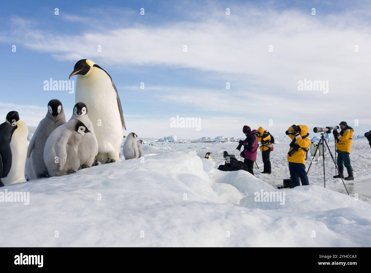 Antarctica Snow Hill Island Photographers from cruise take pictures at ...