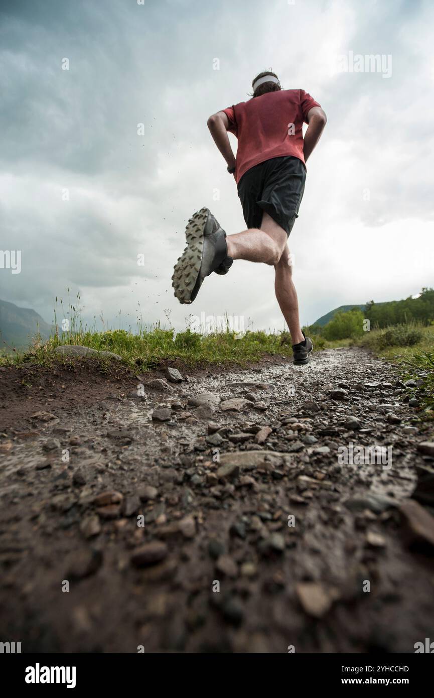 Low level shot hi-res stock photography and images - Alamy