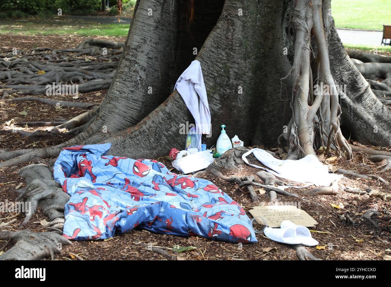 Sydney, Australia. 10th November 2024. Homelessness in Belmore Park ...
