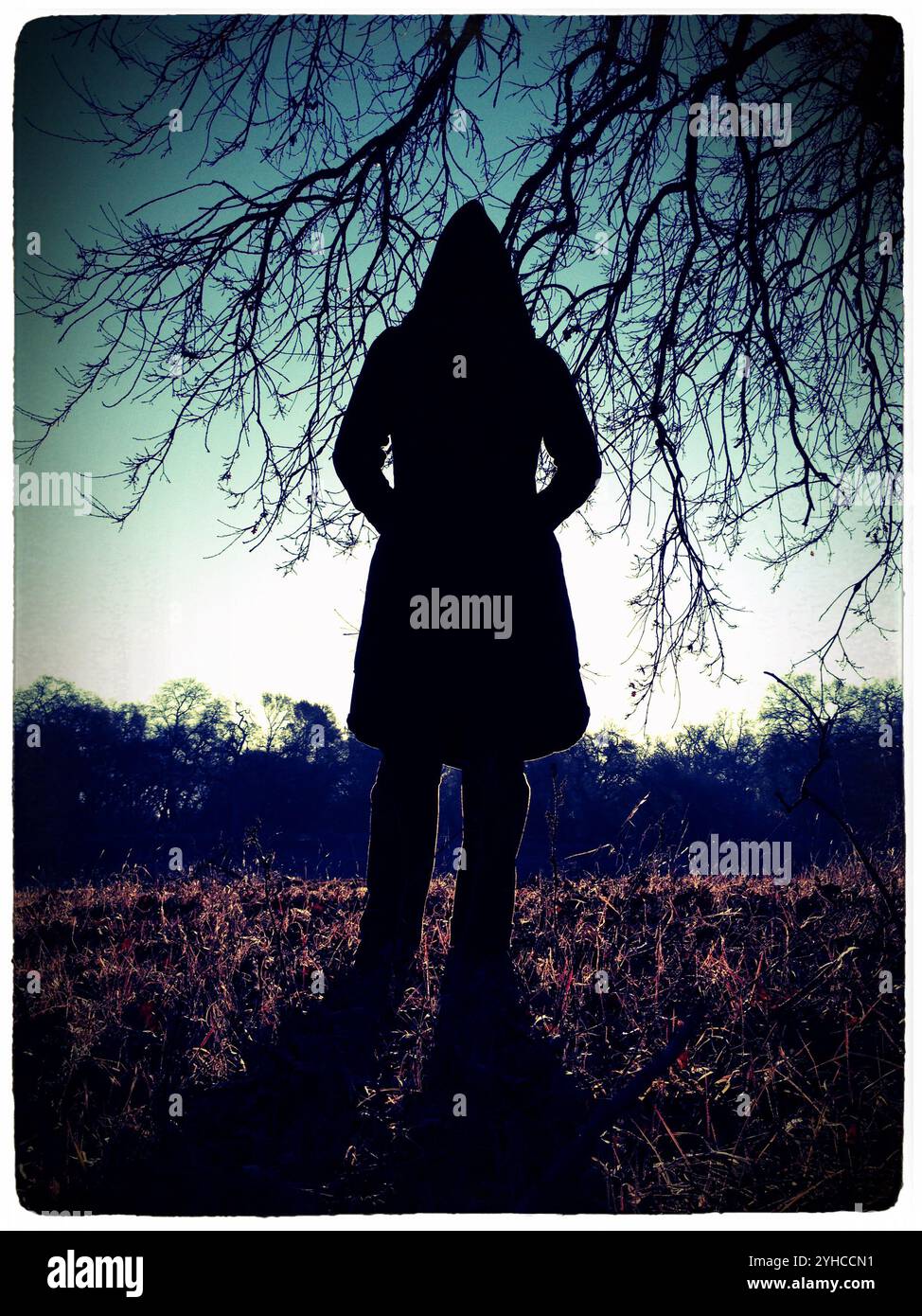 A mysterious hooded figure lurking under the trees in the early-morning ...