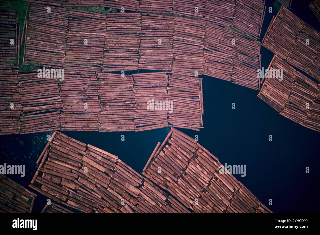 Aerial view of logs in a river Stock Photo - Alamy