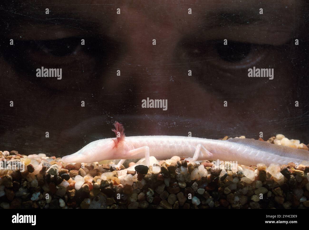 Texas - Edwards Aquifer Stock Photo - Alamy