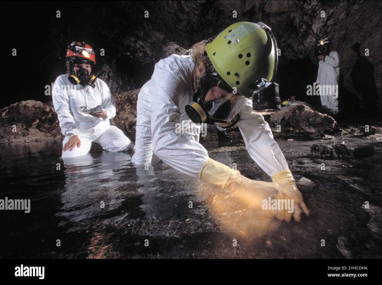 Subsurface Cave Bacteria Stock Photo - Alamy