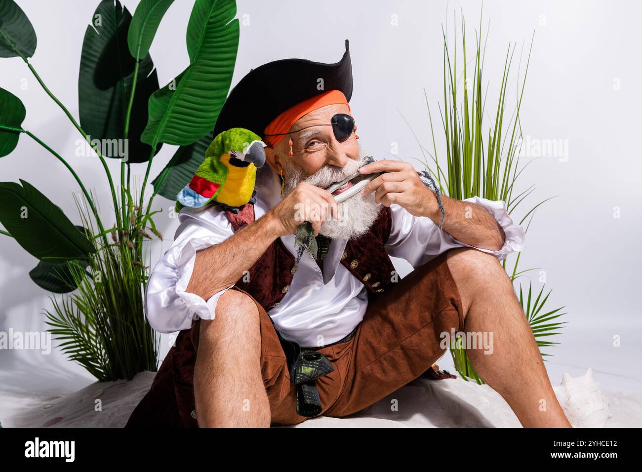 Amusing elderly pirate with a vibrant parrot on shoulder playing a ...